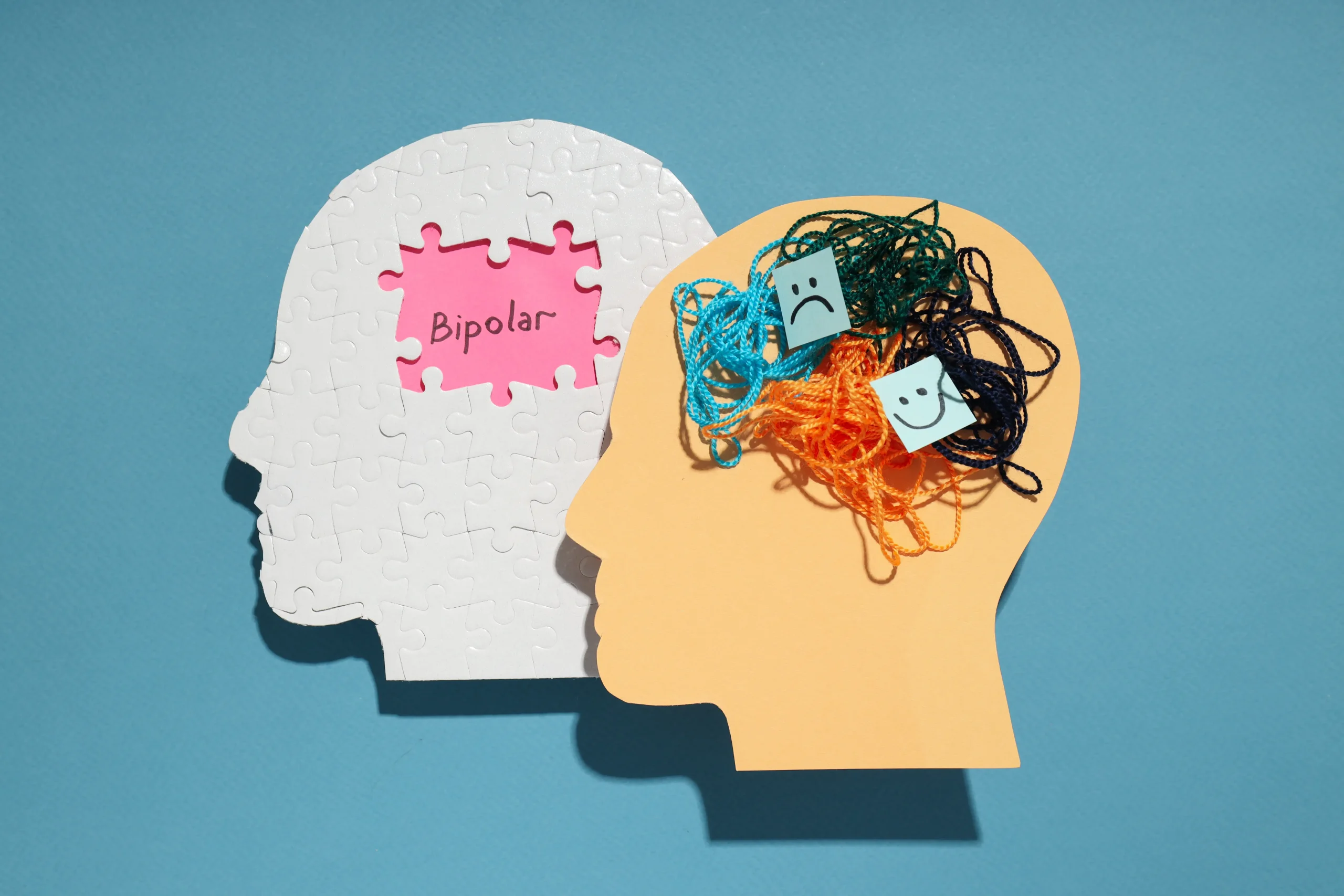 Understanding Bipolar Mood Disorder: Symptoms, Causes, and Treatment ...